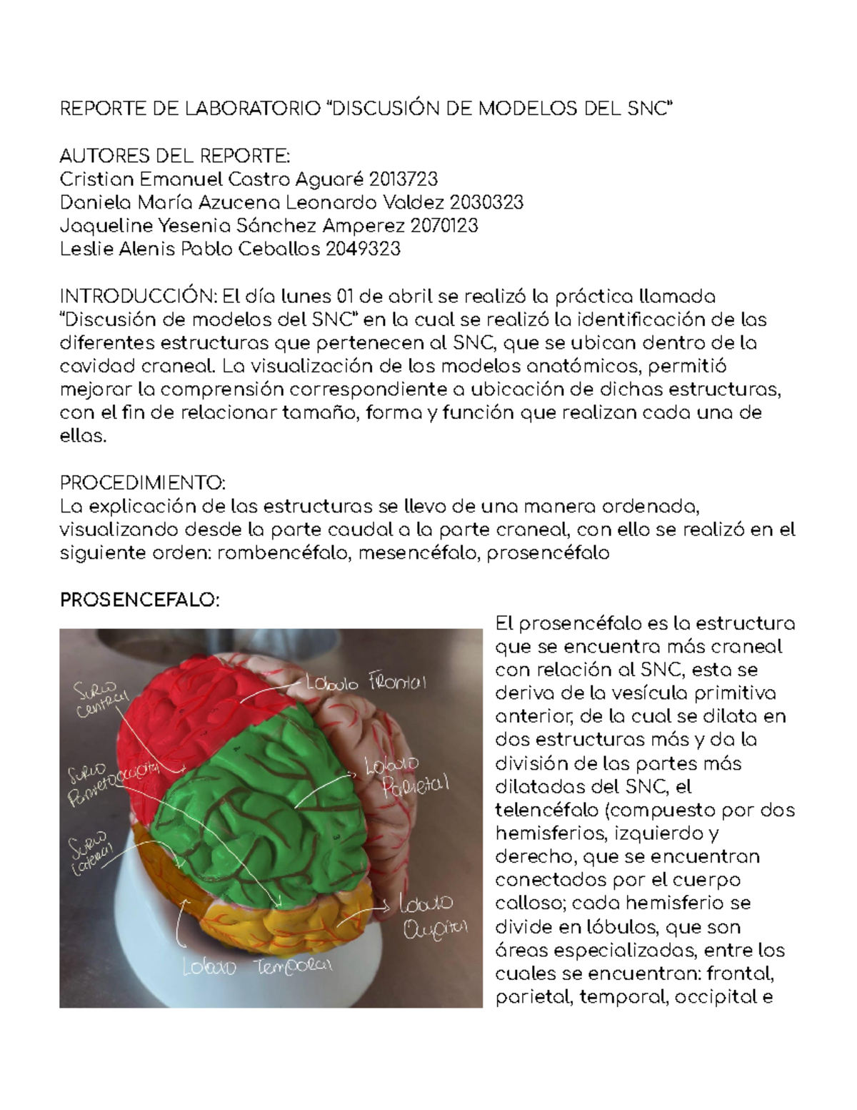 Reporte de Laboratorio Estructura - REPORTE DE LABORATORIO “DISCUSIÓN ...