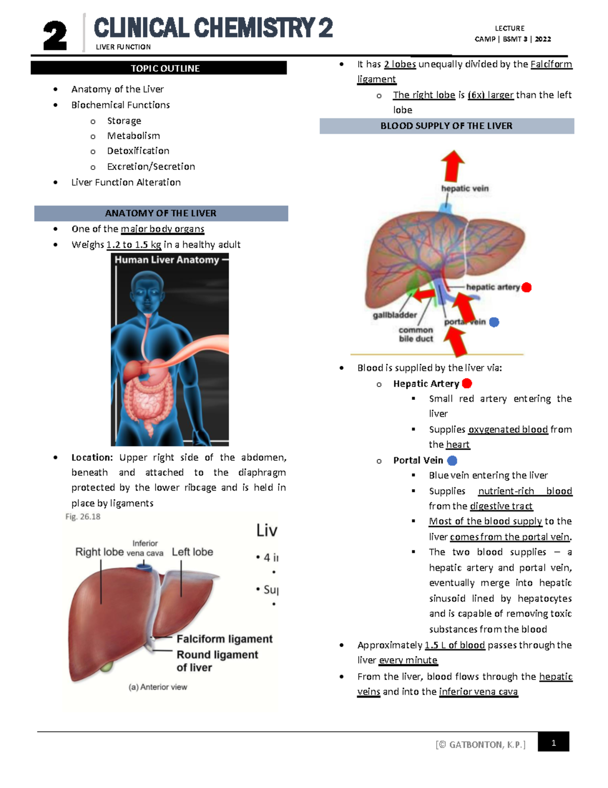 CC-2- Lecture- Liver Function - 2 LIVER FUNCTION CLINICAL CHEMISTRY 2 ...