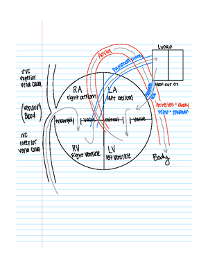 EMT Basic Final Exam Study Guide - Google Docs - EMT Basic Final Exam ...