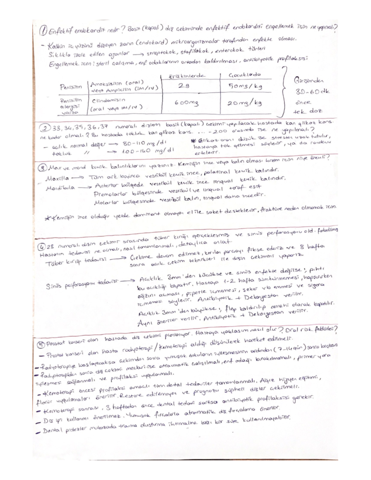 Staj Sonu Sınav notları - dentistry - Studocu