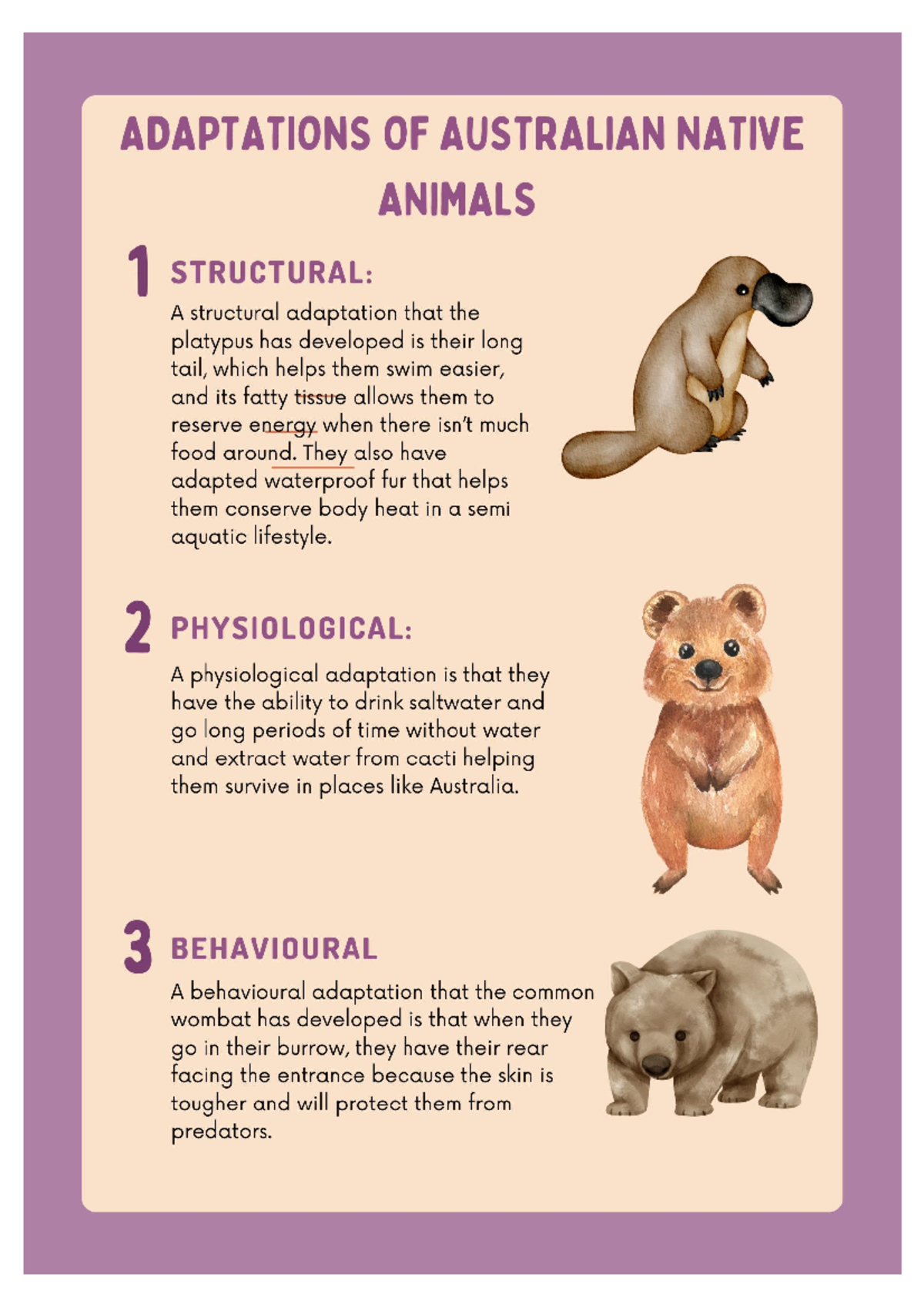 Adaptations of Australian Native Animals - ADAPTATIONS OF AUSTRALIAN ...
