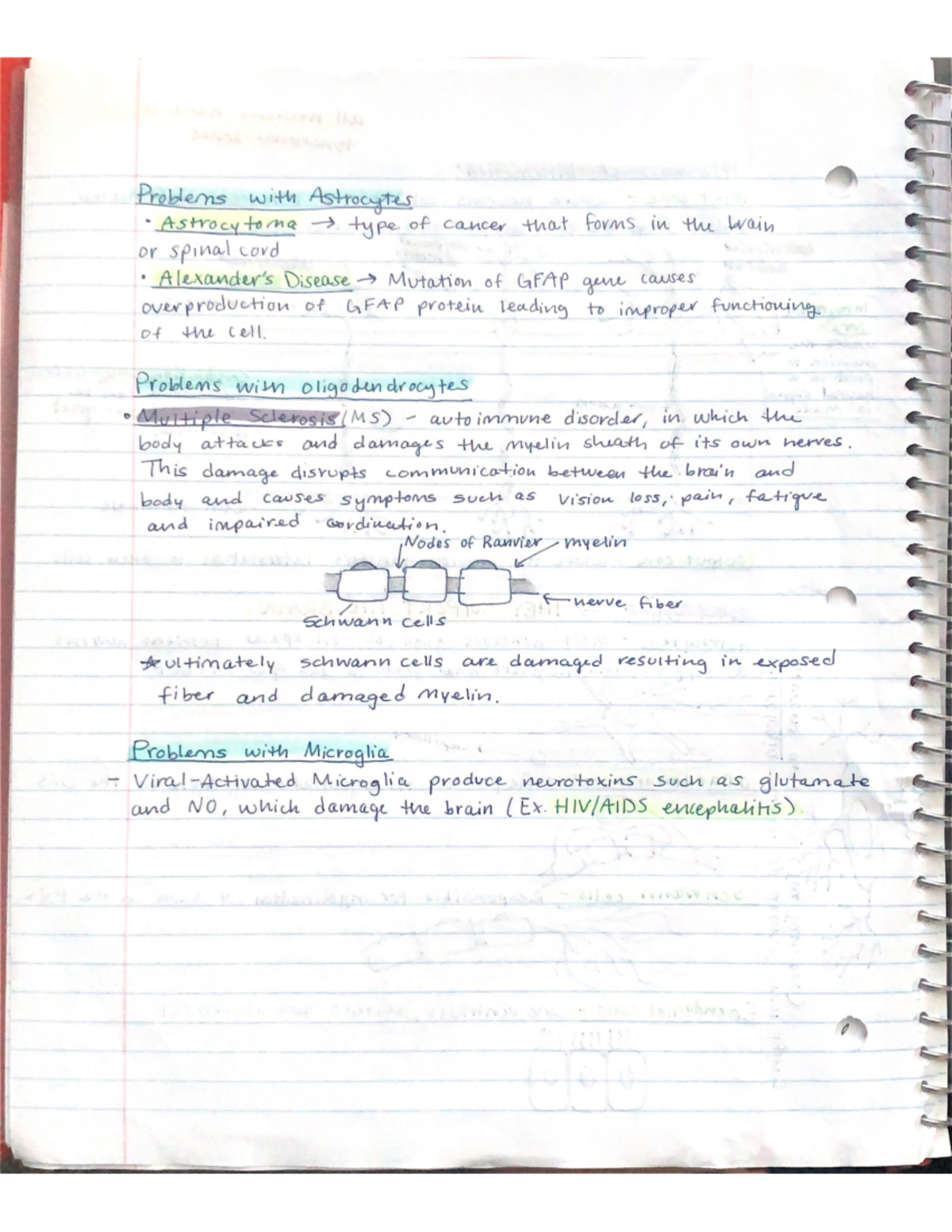 intro to neuroscience- introduction to neuro and basic anatomy of the ...