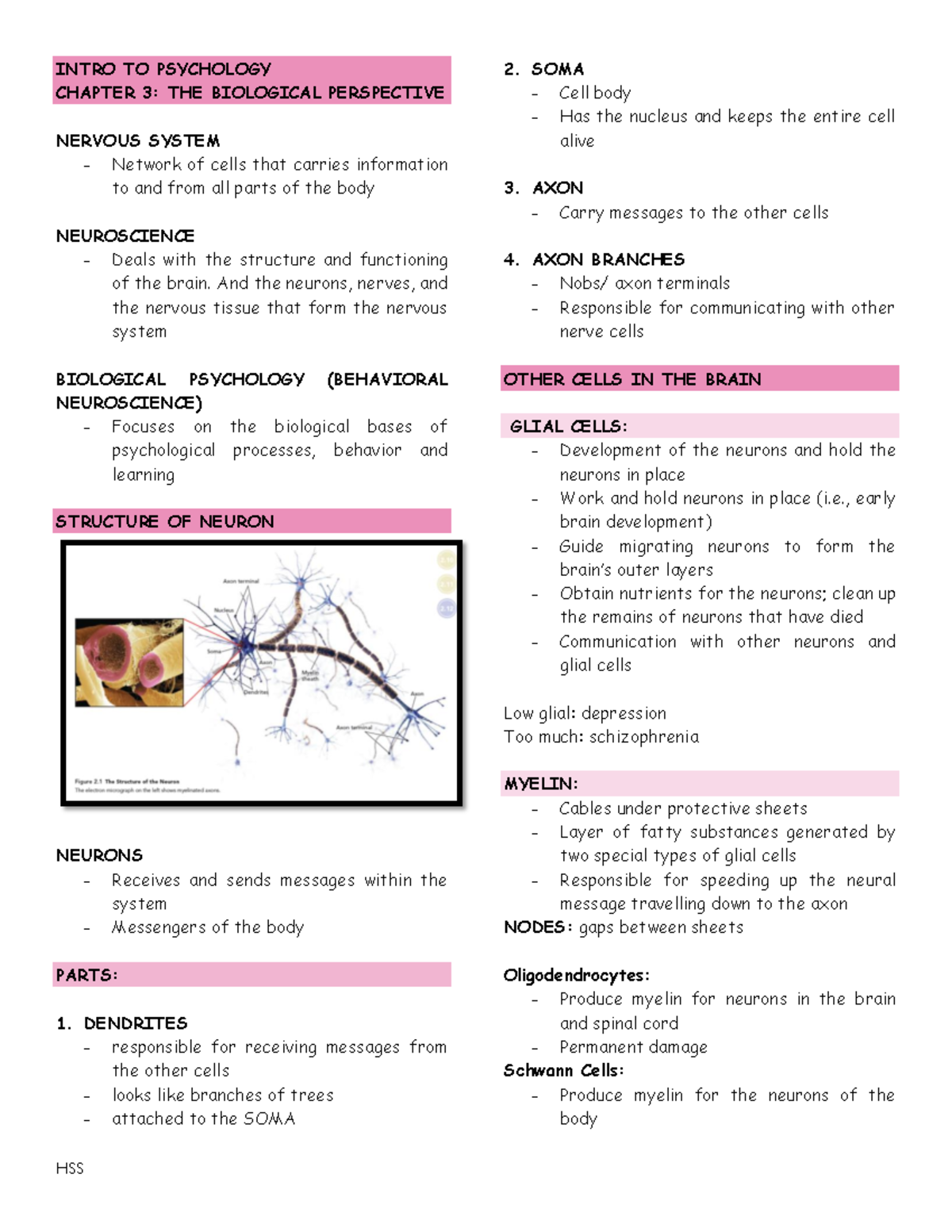 Psychap 3 - Chapter 3: The Biological Perspective - INTRO TO PSYCHOLOGY ...