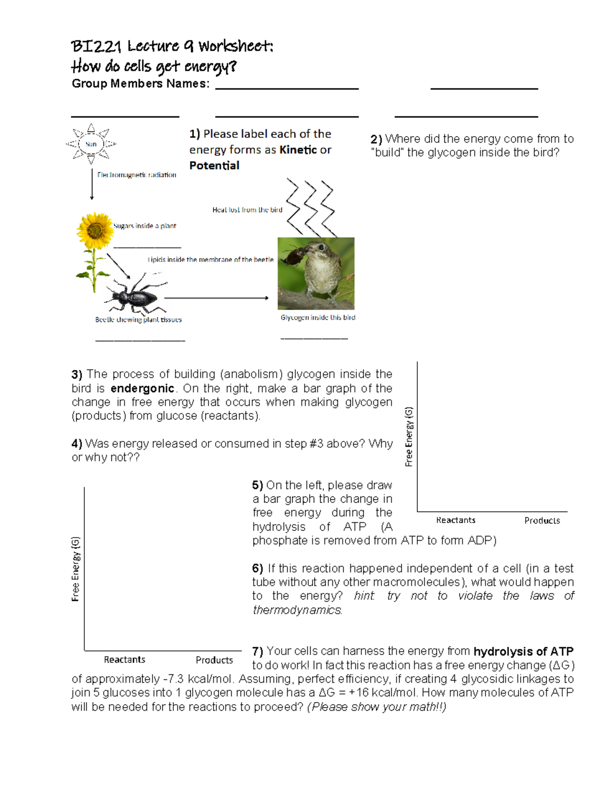 BI221 Lecture 9 energy - n/a - BI221 Lecture 9 Worksheet: How do cells ...