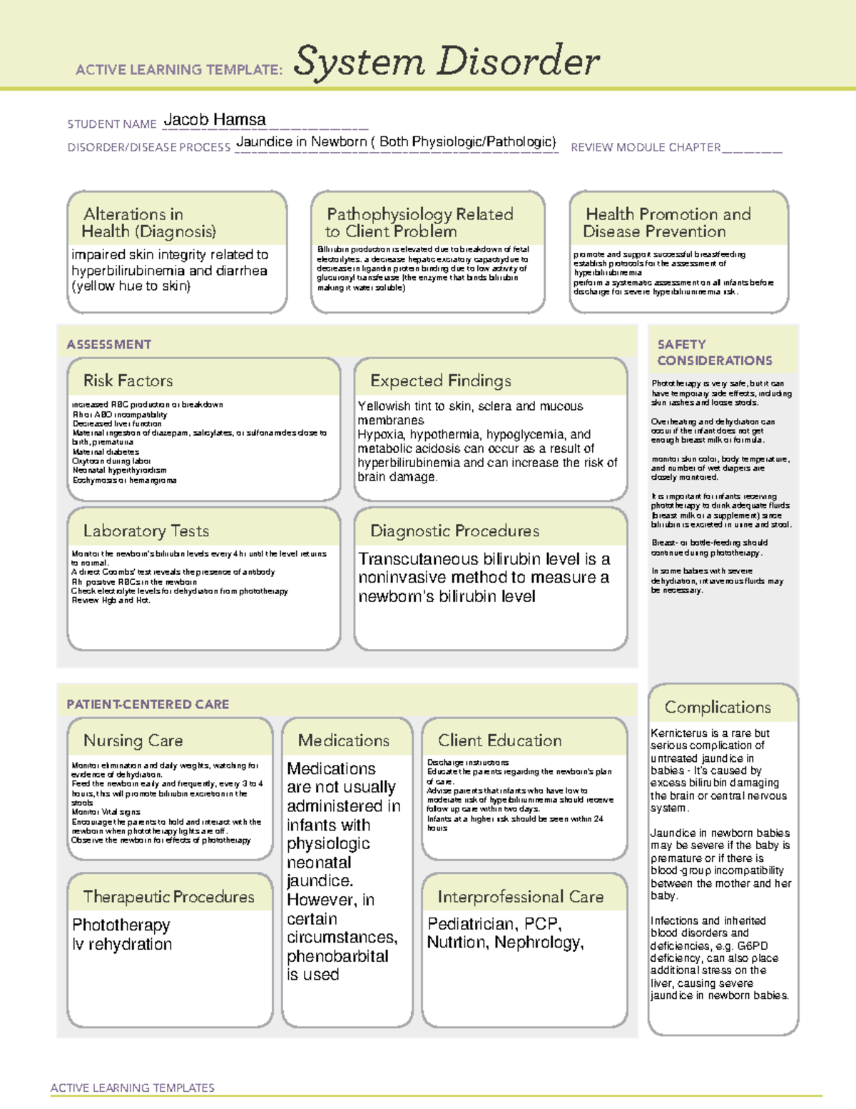 Active Learning Template System Disorder Jaundice in Newborn hamsa ...