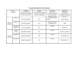 Scientific Method Case Study Worksheet- Stennett,M - Scientific Method ...