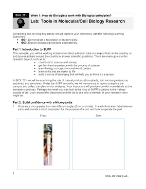 BIOL201 W05 Pre-Lab Measure Aldolase Enzyme Activity - BIOL 201 Week 5 ...