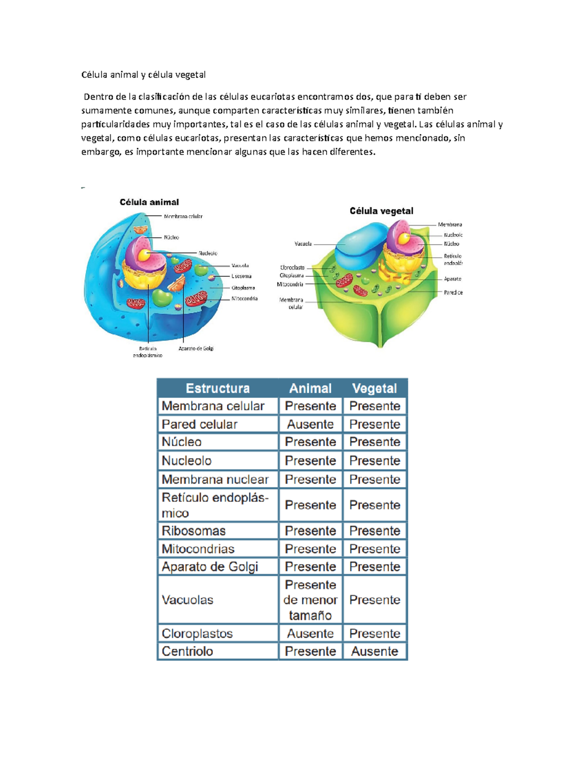 Célula animal y célula vegetal - Célula animal y célula vegetal Dentro ...