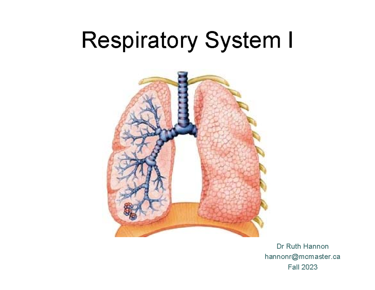 2023 Respiratory System I Handout-1 - Respiratory System I Dr Ruth ...