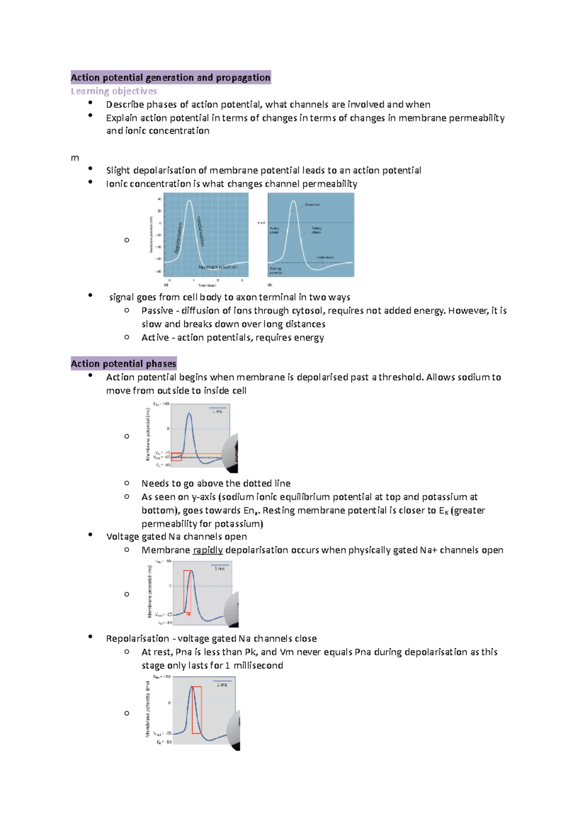 Lesson 2c notes - Action potential generation and propagation Learning ...