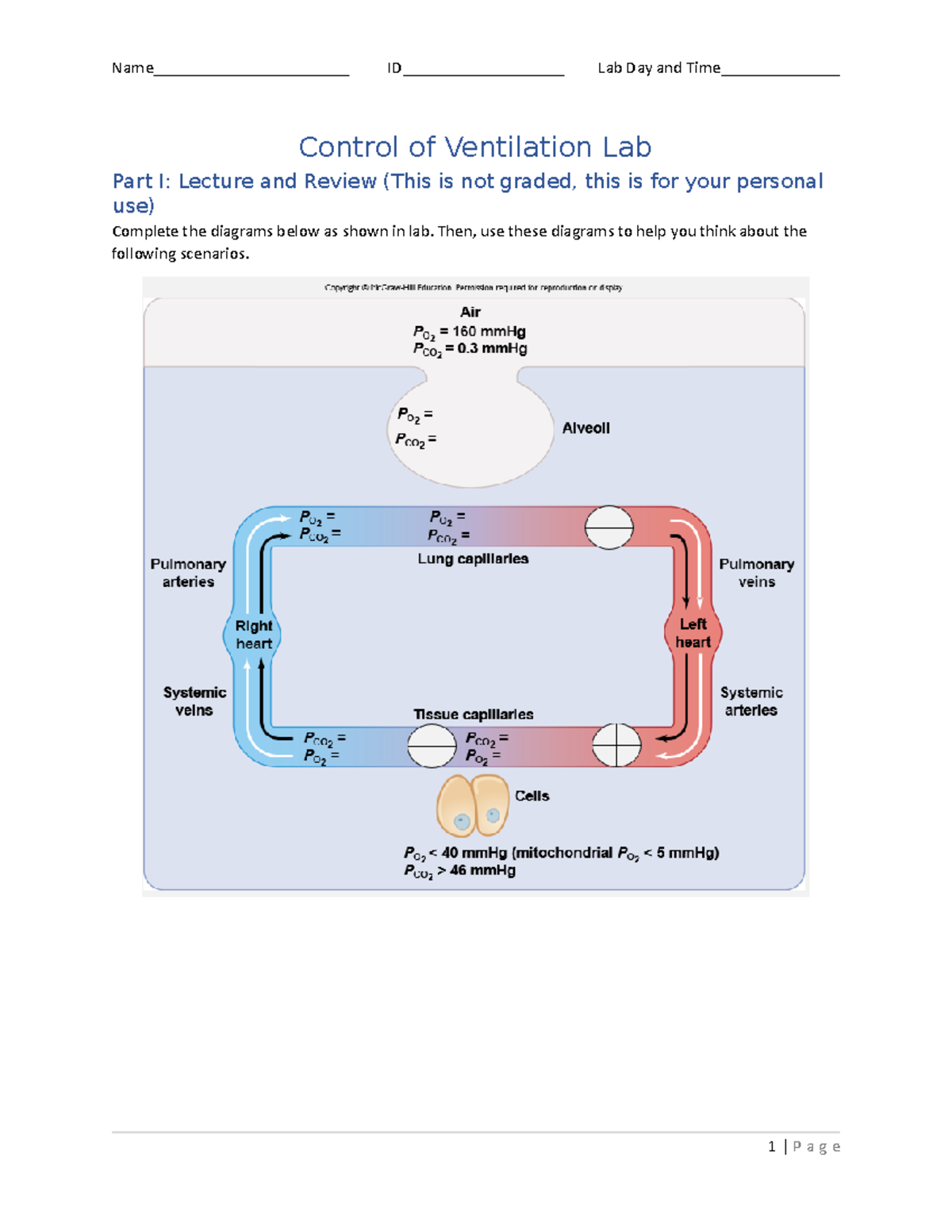 Lab Saturation Vs. Content Worksheets - Part I: Lecture and Review ...