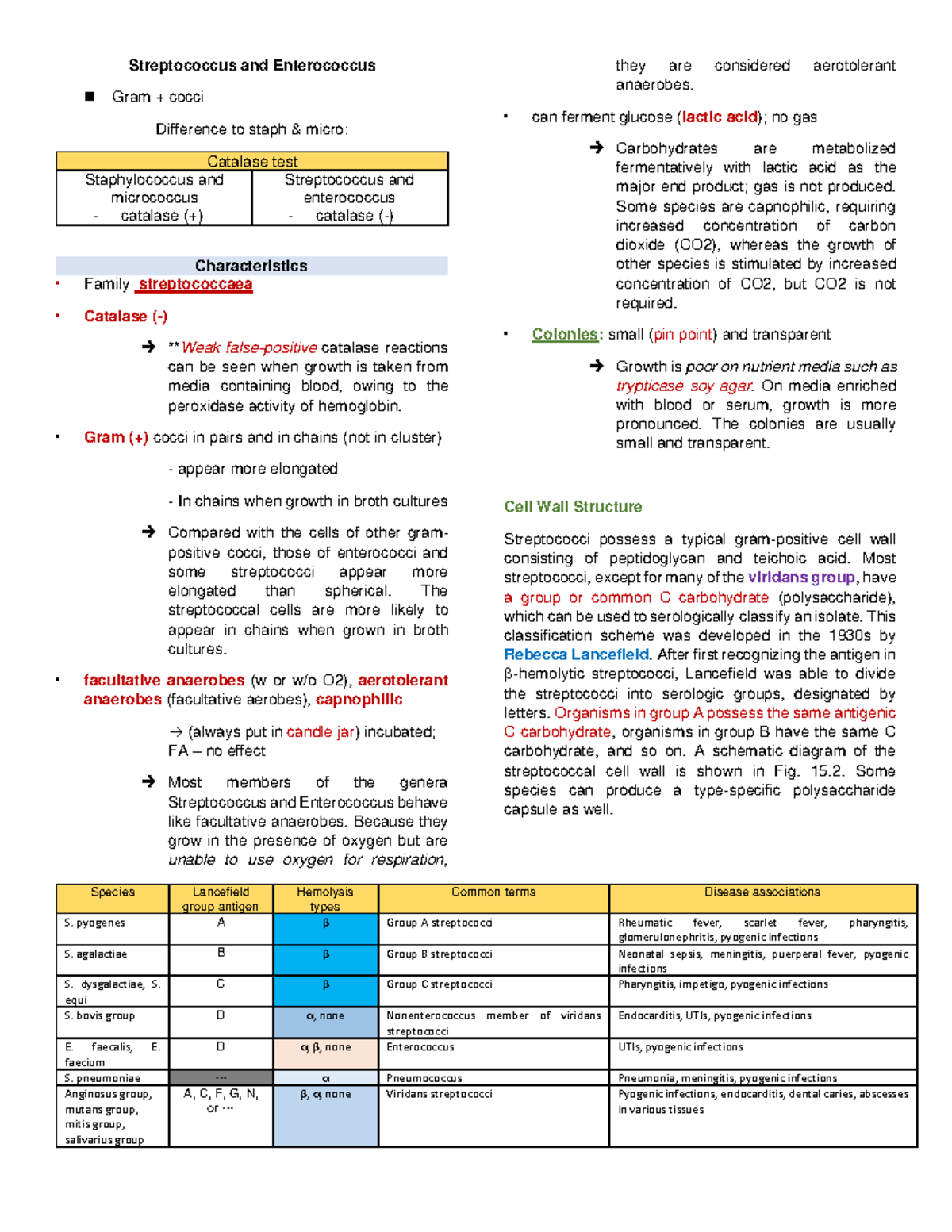 Bacteriology - Staphylococcus and Enterococcus - Streptococcus and ...