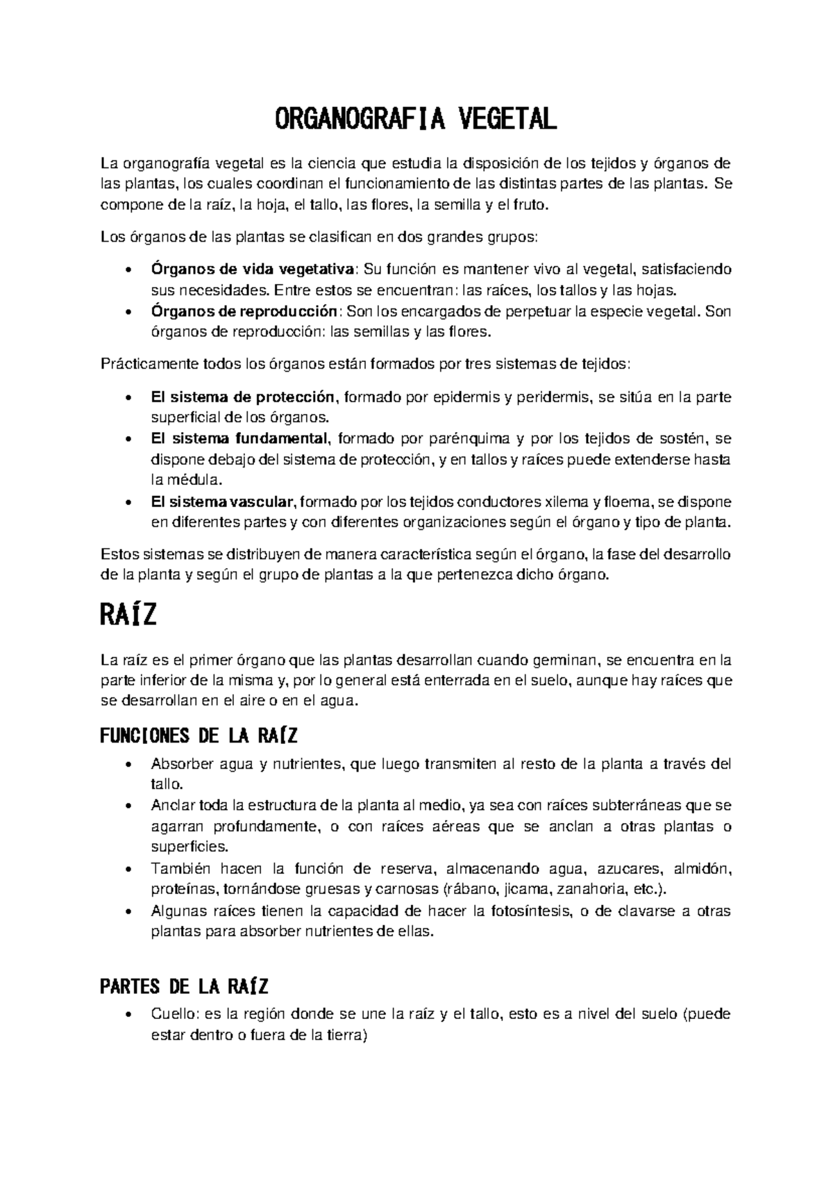 Organografia Vegetal - Raiz, tallo, flor, hoja, fruto, semilla ...