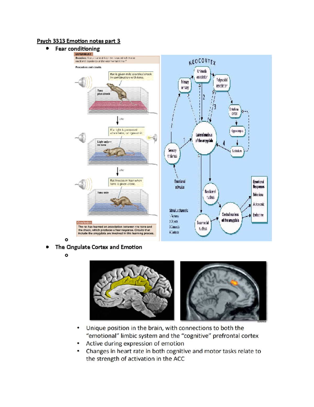 Psych 3313 Emotion notes part 3 - Psych 3313 Emotion notes part 3 Fear ...
