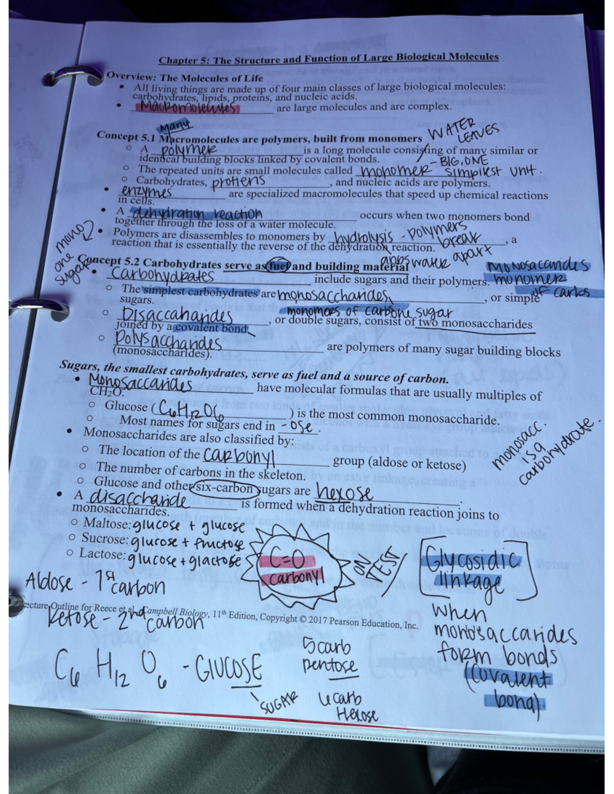 8 - biology lecture notes - BIO1134 - Studocu