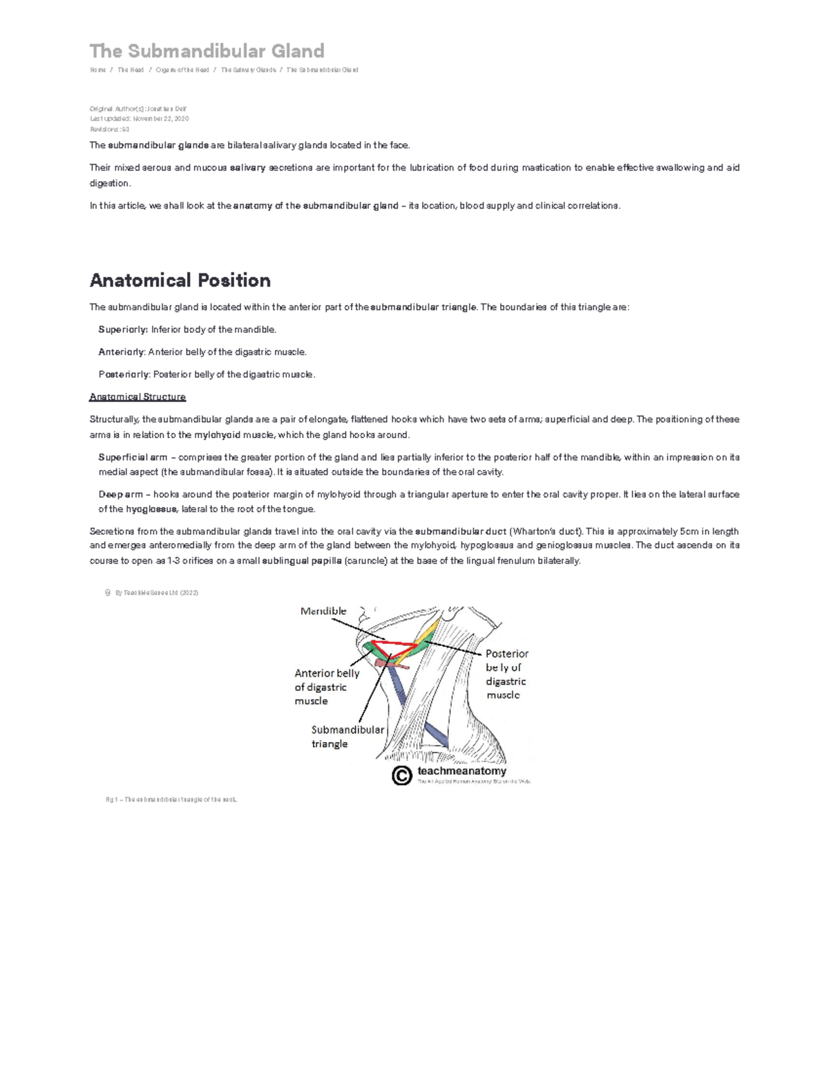The Submandibular Gland - Structure - Vasculature - Innervation - Teach ...