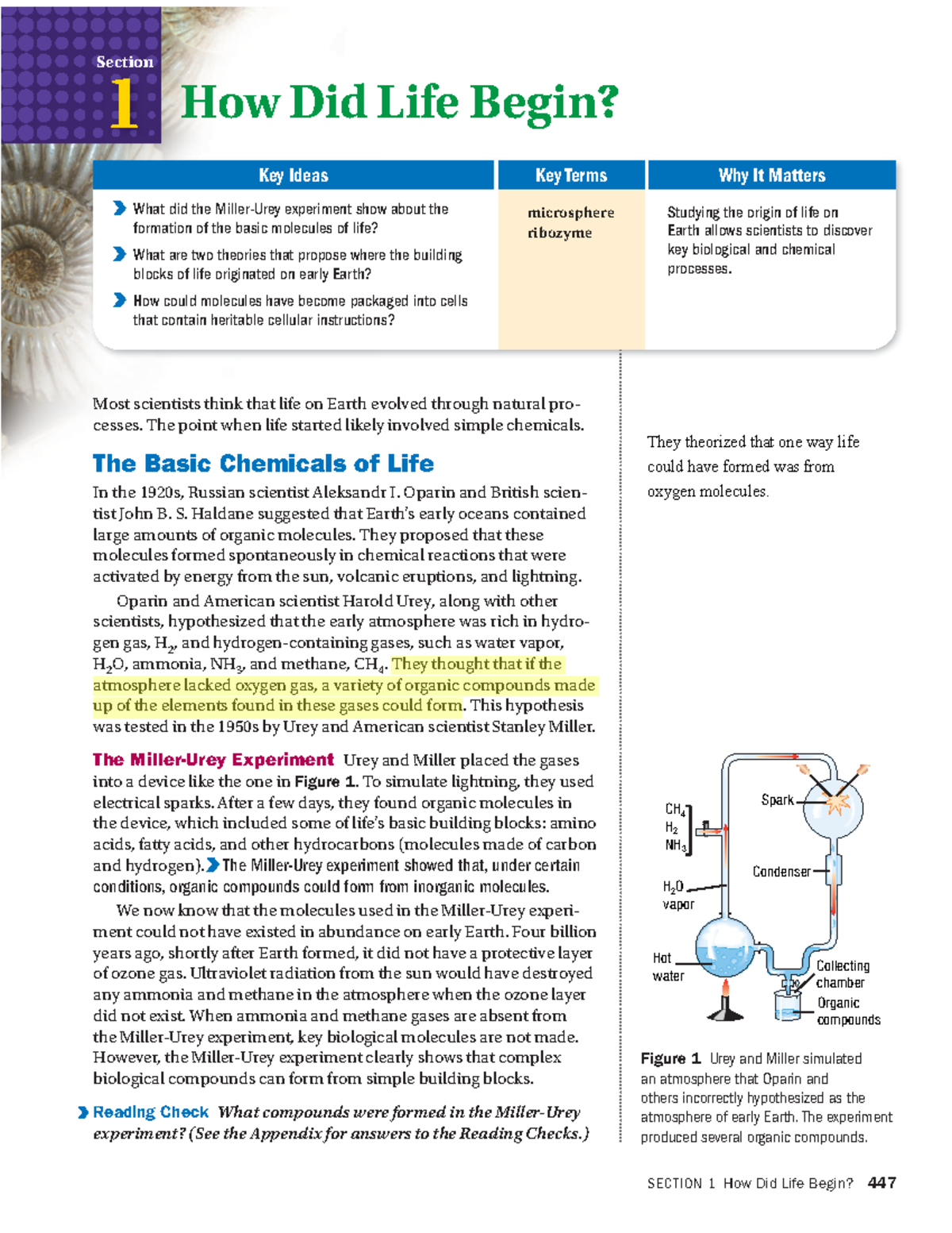 Kami Export - Axel Abrams - Ch 19- History of Life on Earth - Spark ...