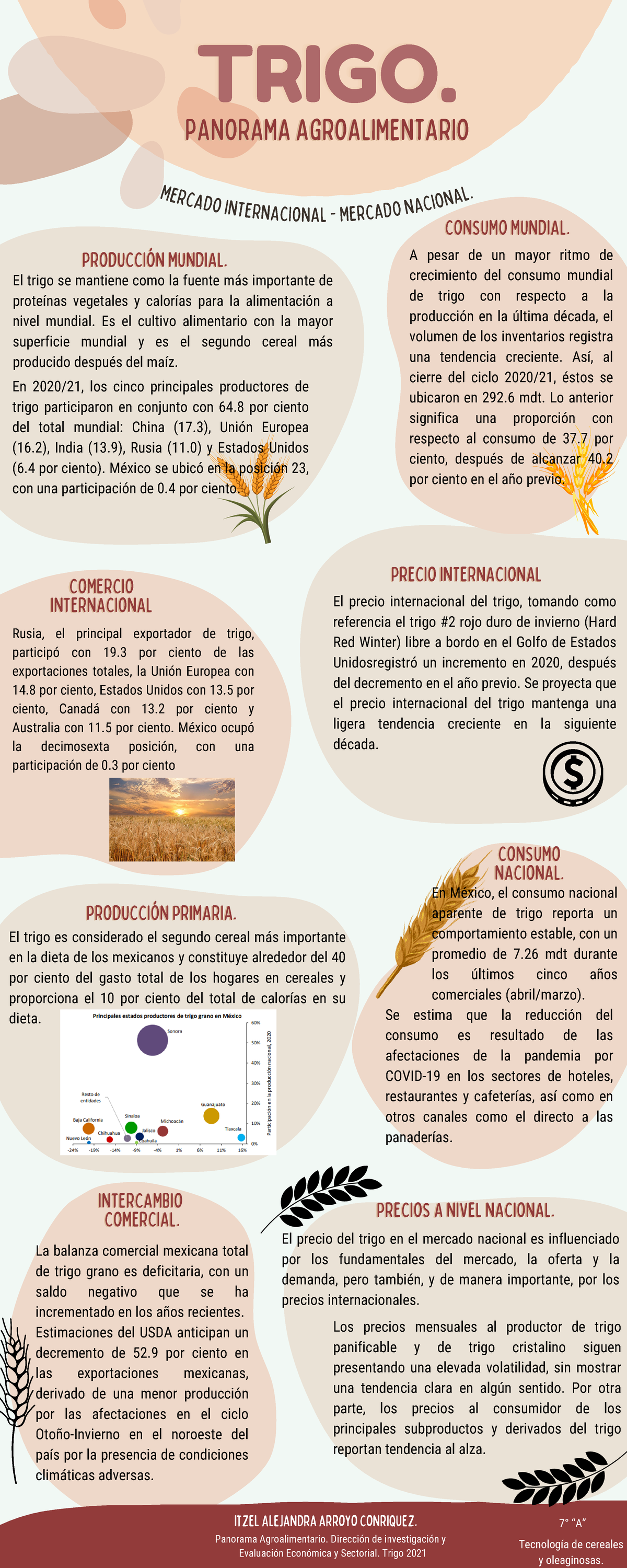 Infografia Trigo - INTERCAMBIOINTERCAMBIO COMERCIAL. PANORAMA ...