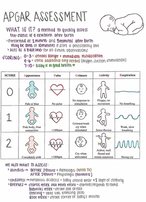 Maternity Final- exam 2 notes - Chapter 12: Nursing care in pregnancy ...