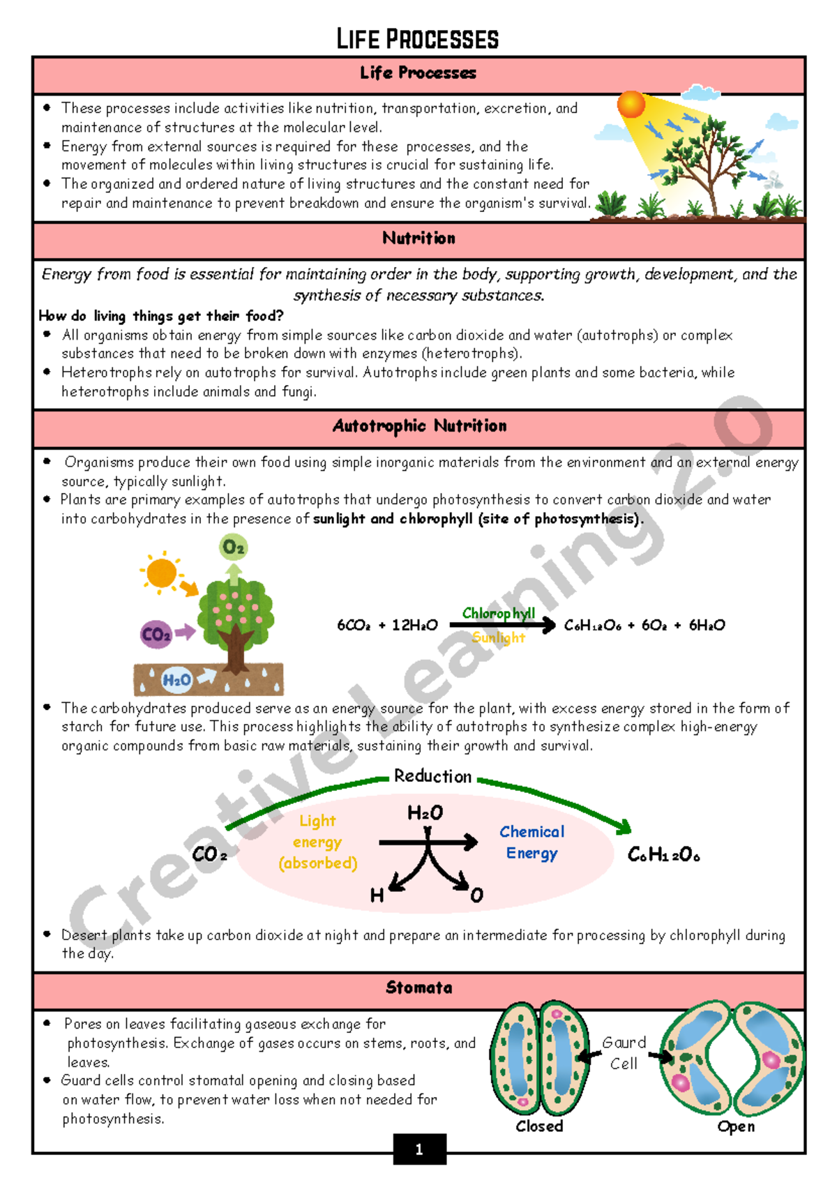 Life Processes - notes - Life Processes ####### These processes include ...