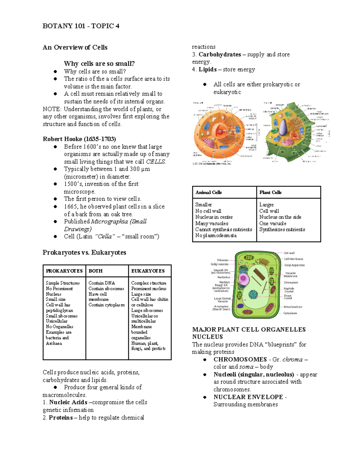 Botany Outline Topic 4 - Overview of plant cells and cell division of plant cells. - BOTANY 101 ...