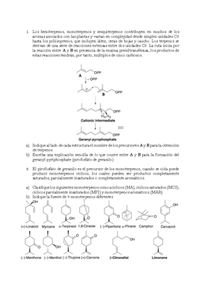 Informe Naranja de Metilo (Organica II) - Síntesis de Naranja de Metilo ...