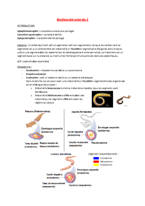 3. Les chordés - cours entier - Les chordés 1. Généralités Ce sont des ...