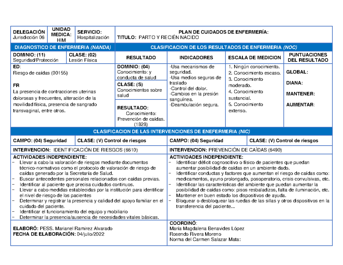 10Places Final - Taxonomia NANDA, NIC Y NOC - DELEGACIÓN Jurisdicción 06 MEDICA: HIM SERVICIO ...