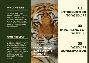 Animal Behaviour Poster - Comparative Analysis of Affiliative Resting ...