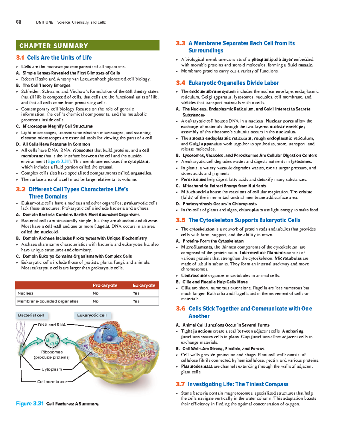 Biology Concepts and Investigations, Chapter Three Review - CHAPTER ...