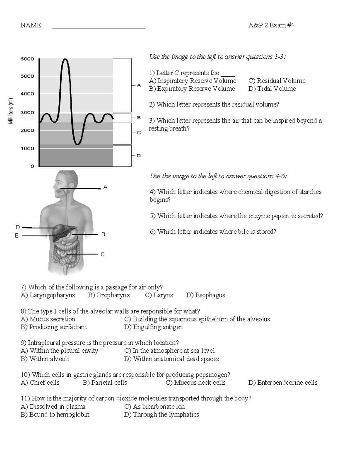 A&P 2 Exam 4 Practice Questions - NAME: ___________________________ A&P ...