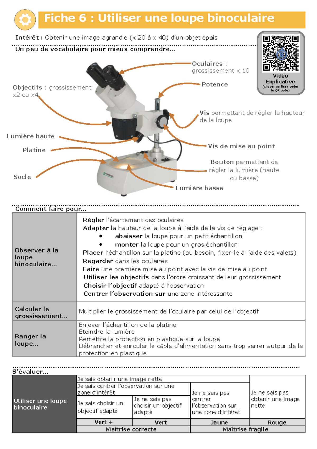 Utiliser la loupe binoculaire - Intérêt : Obtenir une image agrandie (x ...