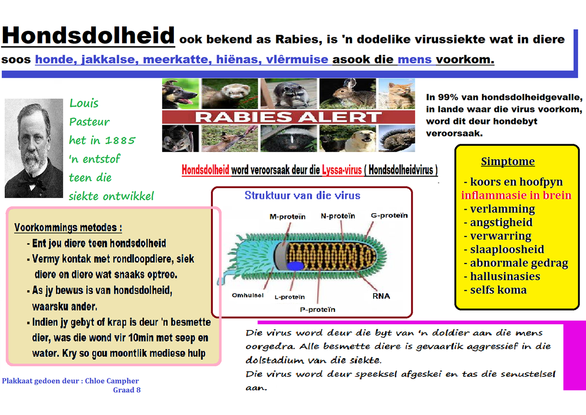 Virus and structures - Hondsdolheid ook bekend Rabies, is dodelike ...