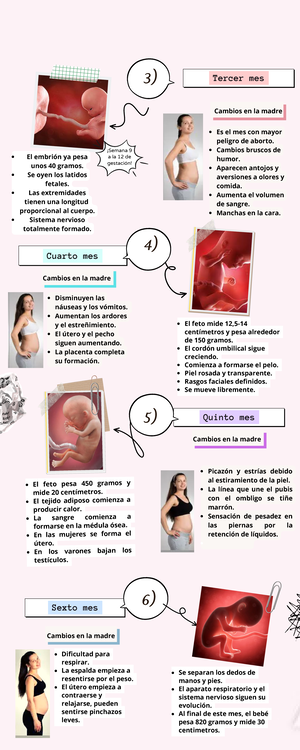 Modelo DE Varela - EMPRENDIMIENTO - MODELO DE VARELA Este modelo fue ...