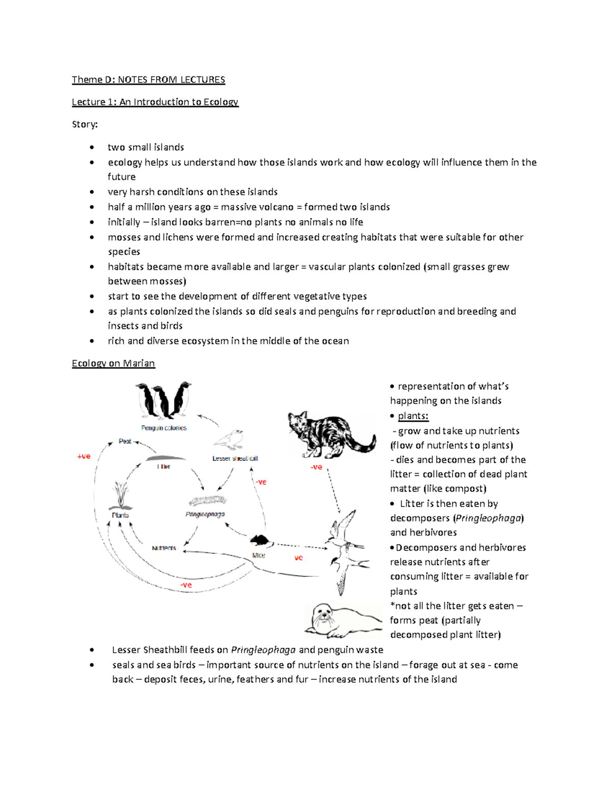 Ecology notes in great detail,good prep tool for assessment - Theme D ...