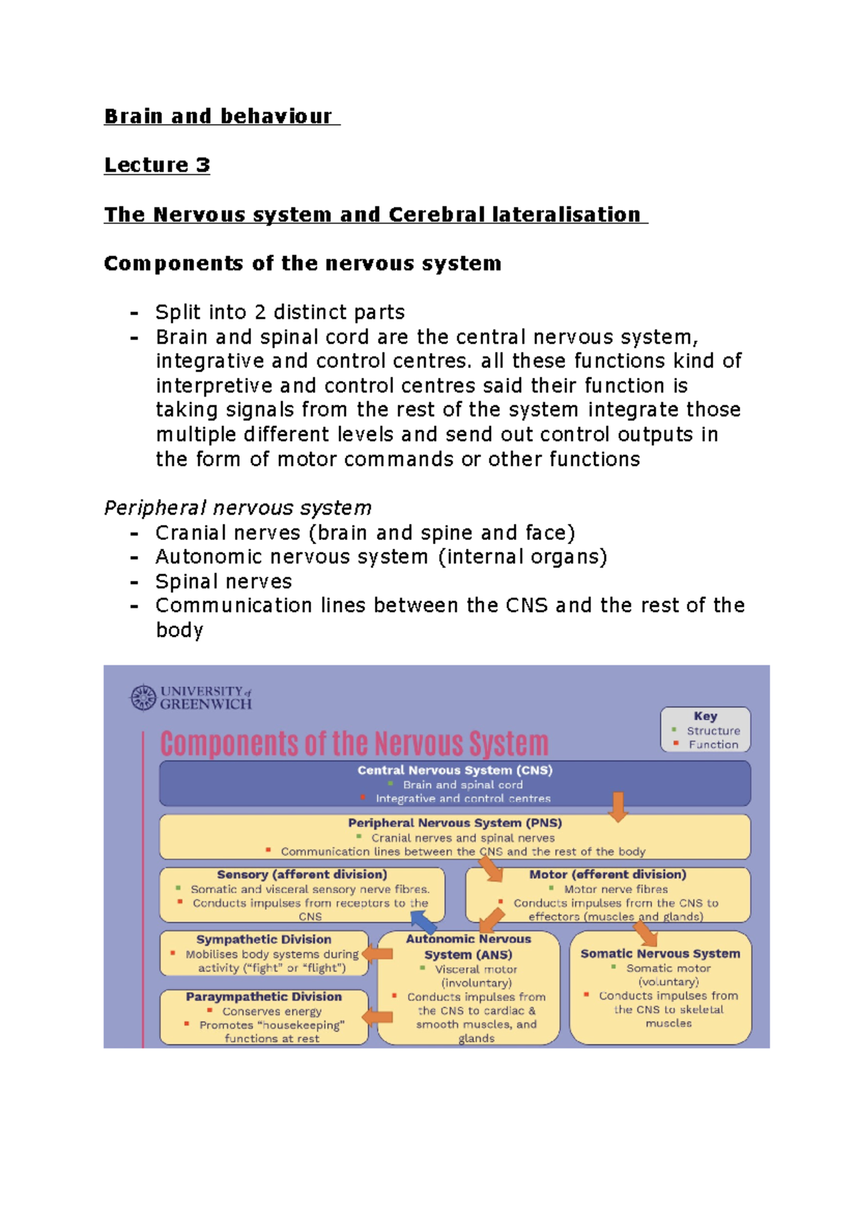 Brain and behaviour lecture 3 - Brain and behaviour Lecture 3 The ...
