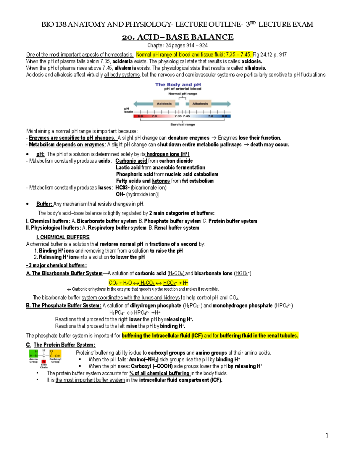20A. BIO 138 FA23 - ACID BASE Balance - 1 BIO 138 ANATOMY AND ...