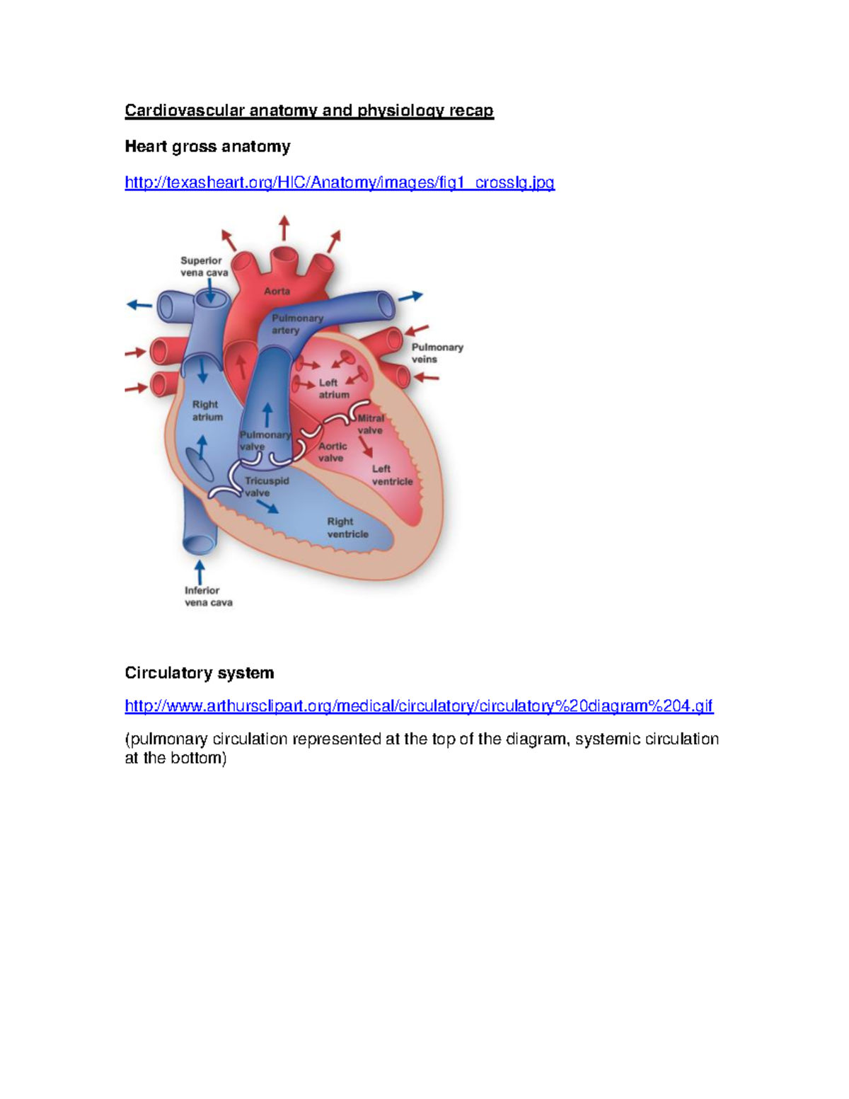 Cardiovascular System Anatomy & Physiology Haemodynamics Recap ...