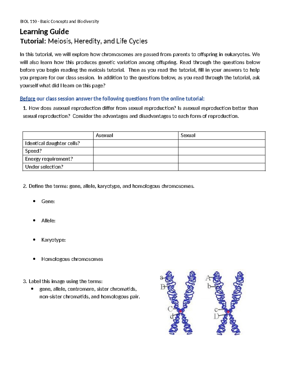 BIOL 110 Learning Guide for Tutorial 10 Meiosis and Life Cycles - BIOL ...