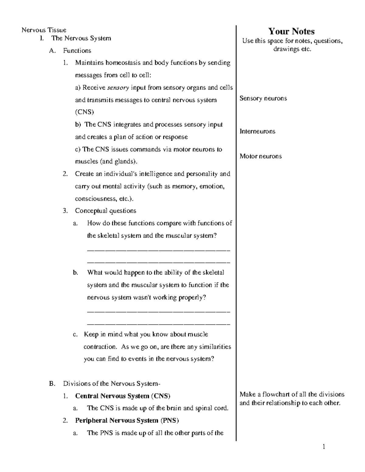 Nervous Tissue handout - Nervous Tissue I. The Nervous System A ...