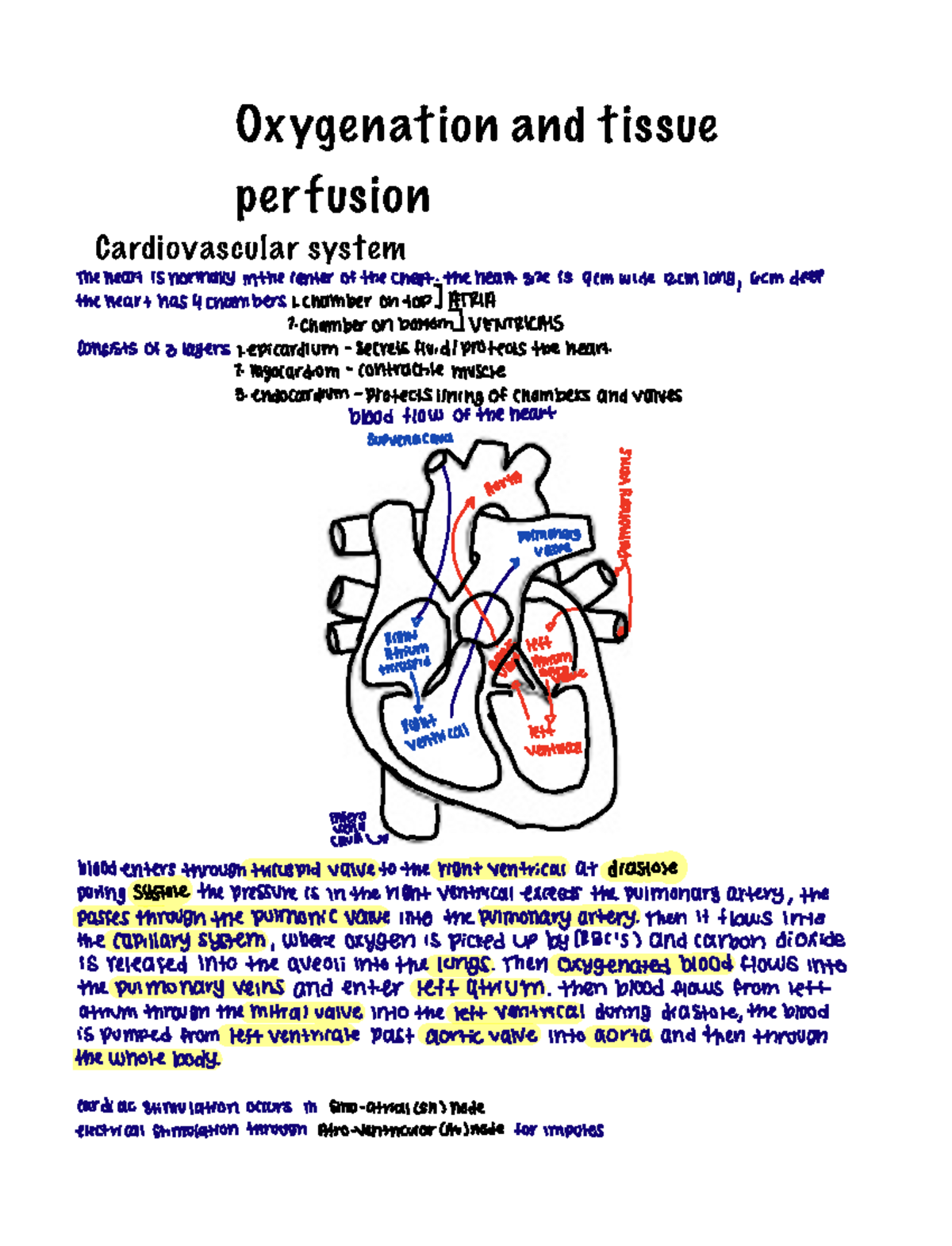 Oxygenation and tissue perfusion - Oxygenation and tissue perfusion Cardiovascular system eheart ...