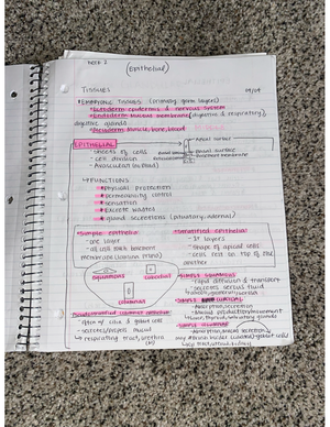 Cell membrane and tonicity worksheet Key - NAME__________ ANSWER KEY