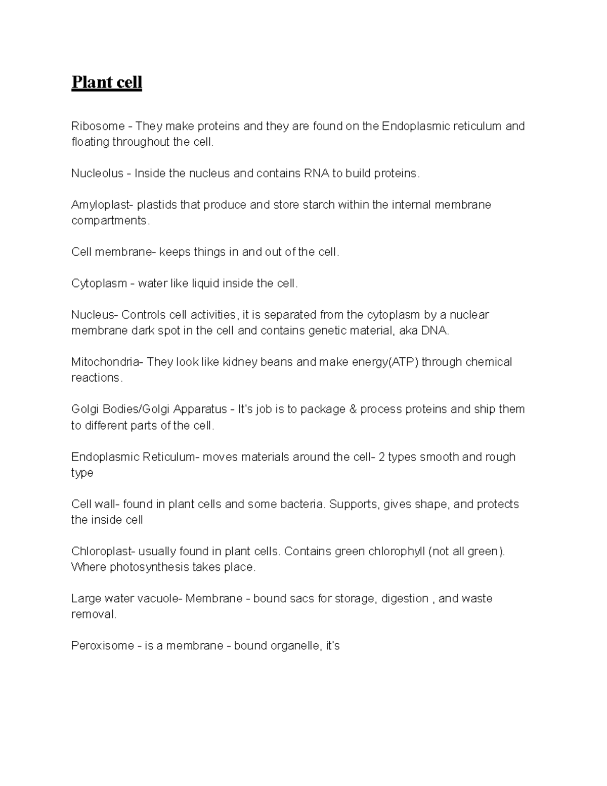 Plant cell Final Project - Plant cell Ribosome - They make proteins and ...