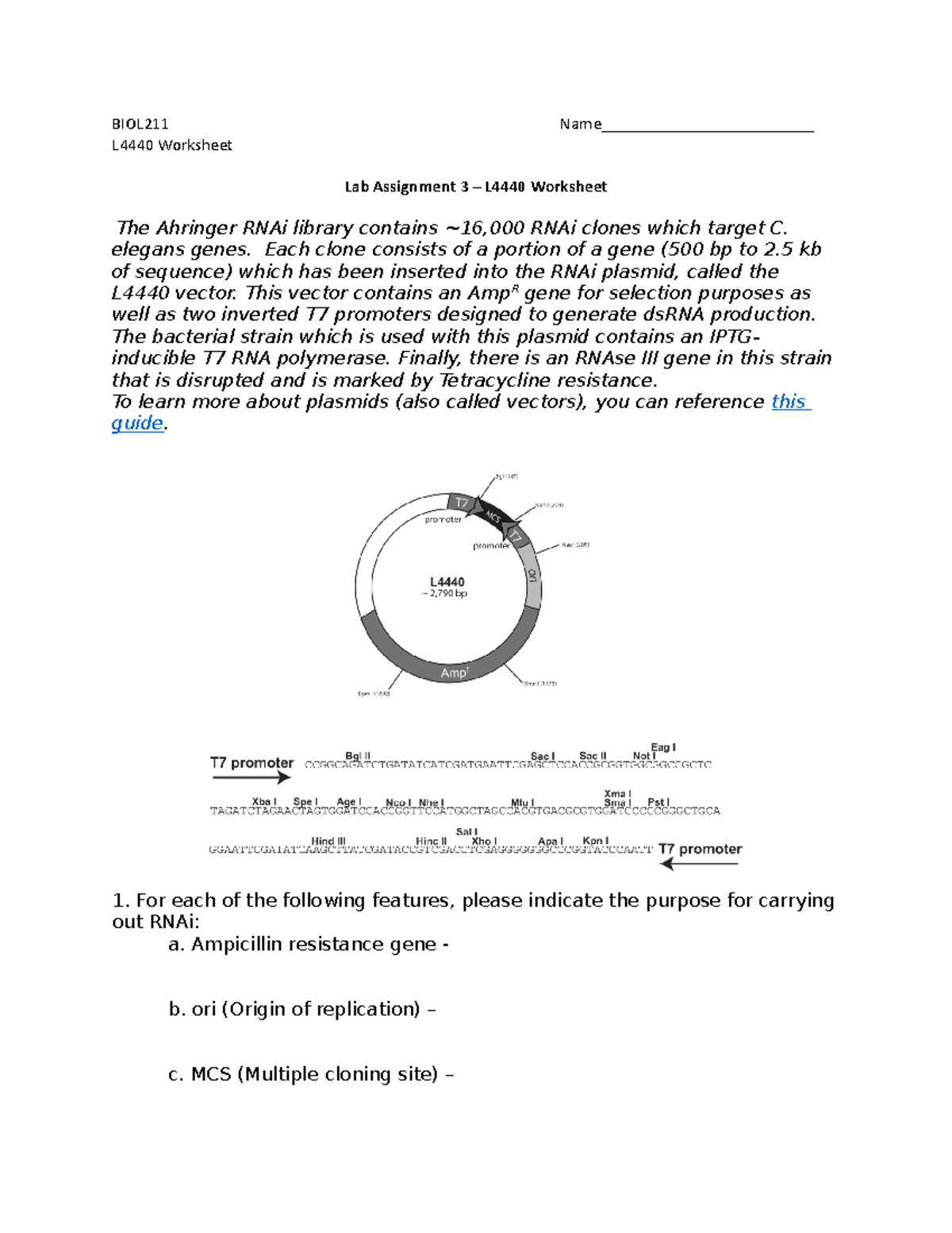 Lab 3 Assignment - L4440 Worksheet - BIOL211 Name_________________________ L4440 Worksheet Lab ...