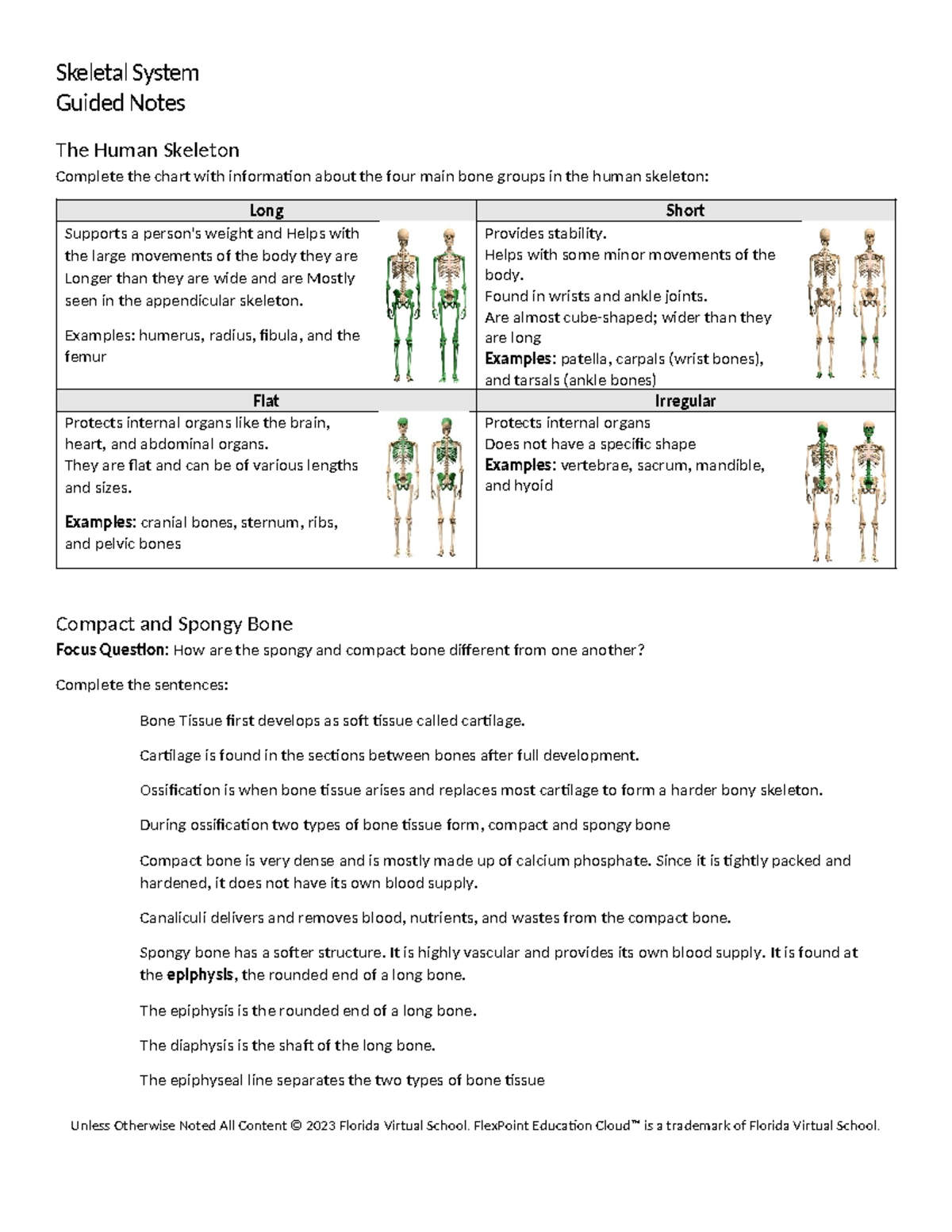 2.02 Skeletal System - Class Notes - Skeletal System Guided Notes The ...