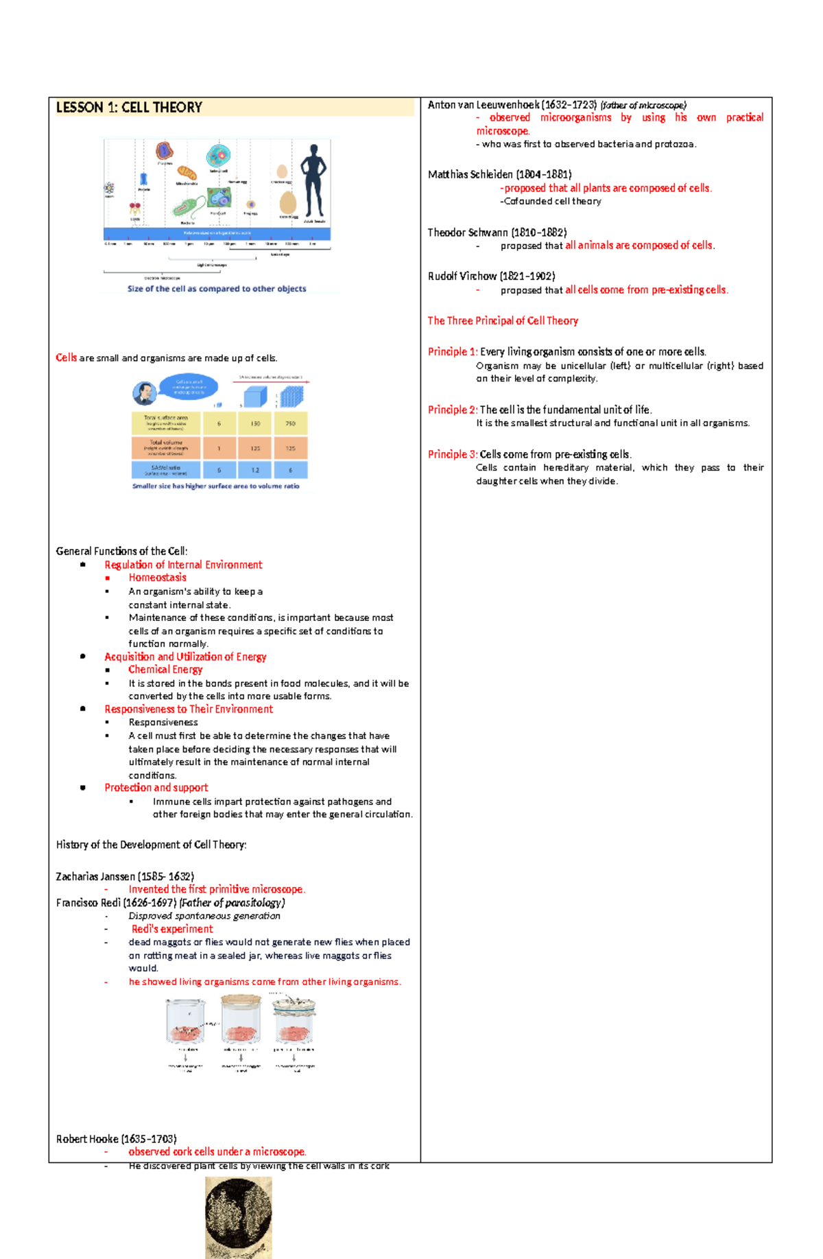 General-Biology - LESSON 1: CELL THEORY Cells are small and organisms ...