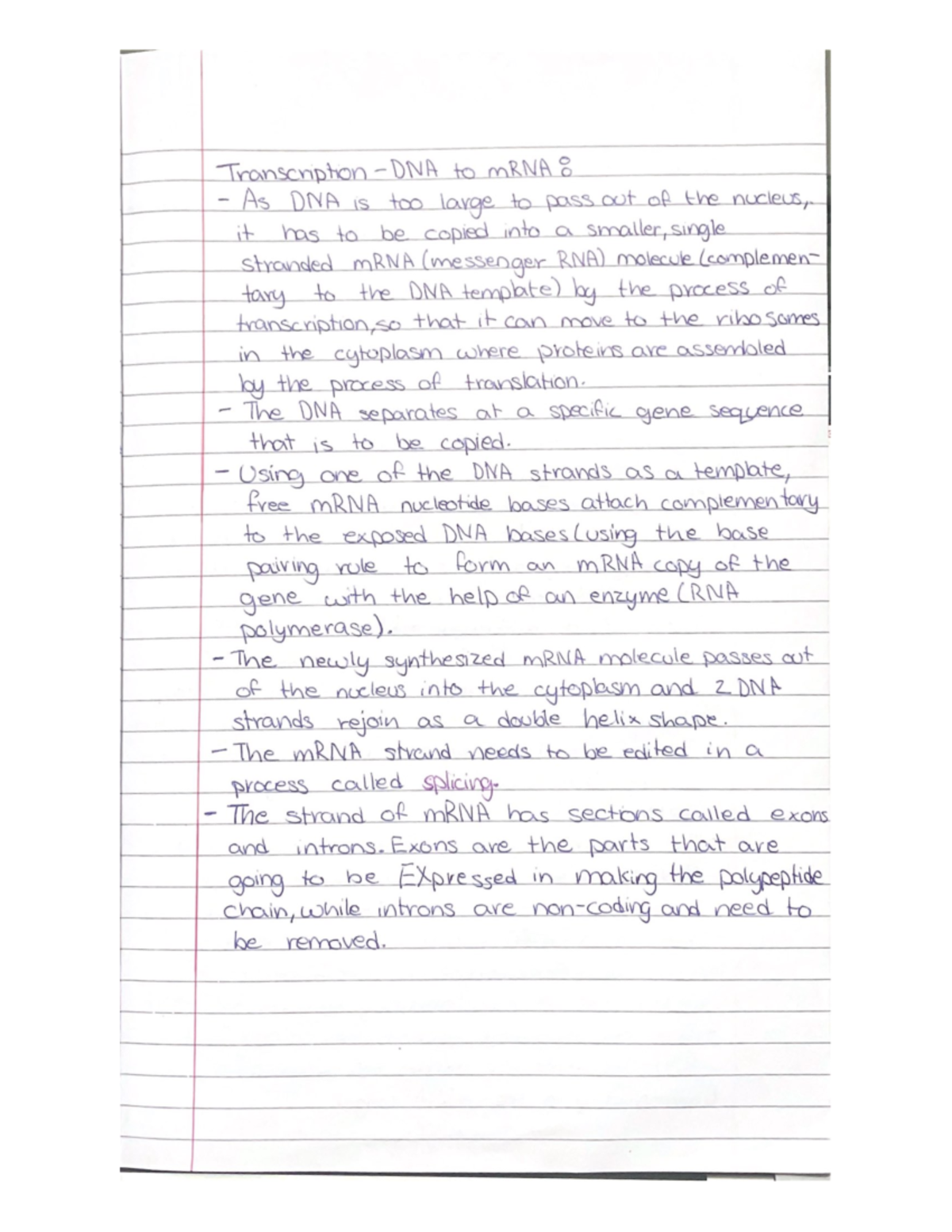 Transcription And Translation Notes - Studocu