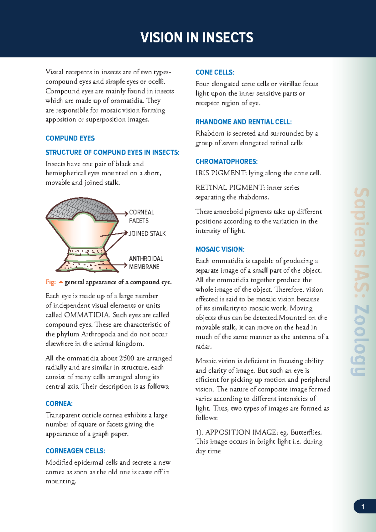 Vision-in-insects - 1 Visual receptors in insects are of two types ...