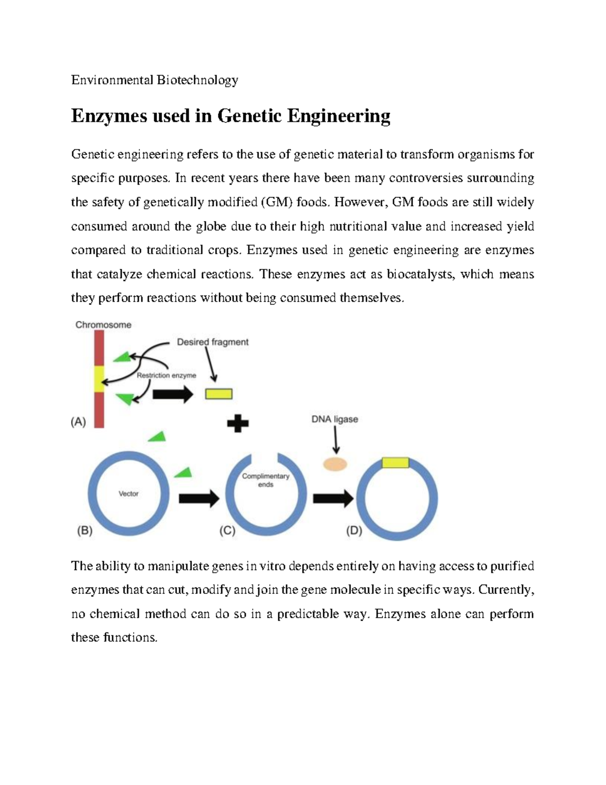Enzymes used in Genetic Engineering - Environmental Biotechnology ...