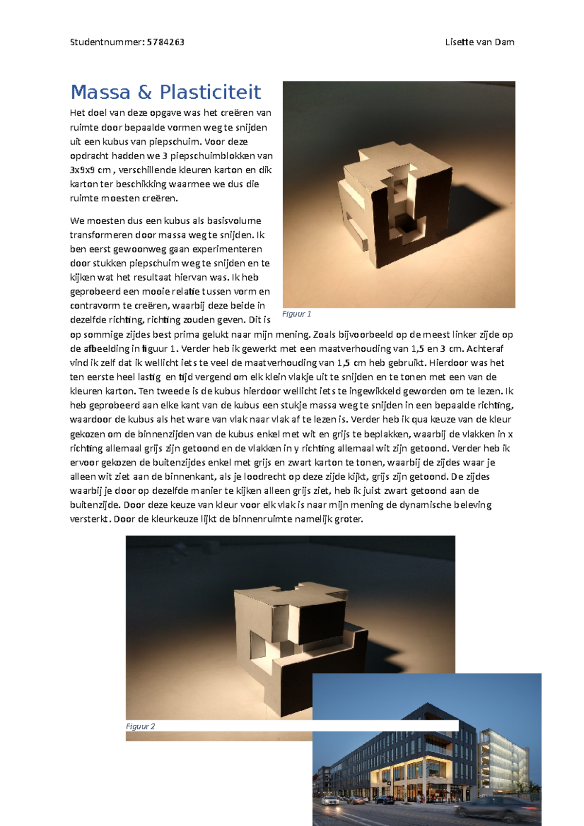 Massa en plasticiteit - verslag - Studentnummer: 5784263 Lisette van ...